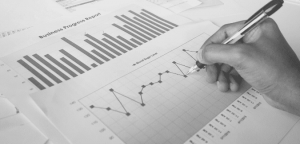 Bourse Securities Limited